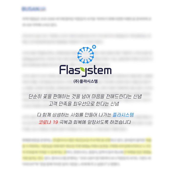 flasystem